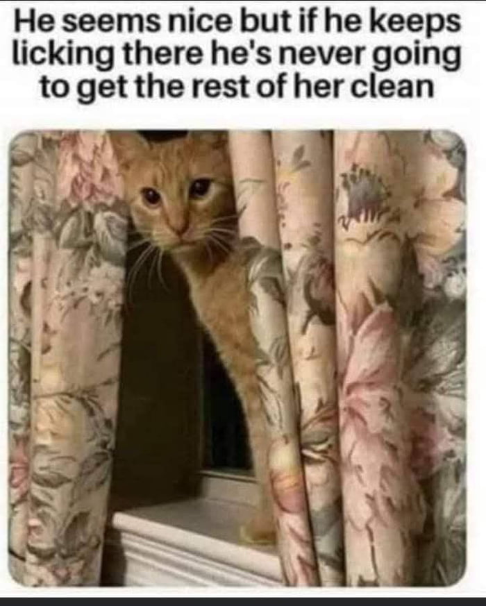 Ah yes, the seks - 9GAG