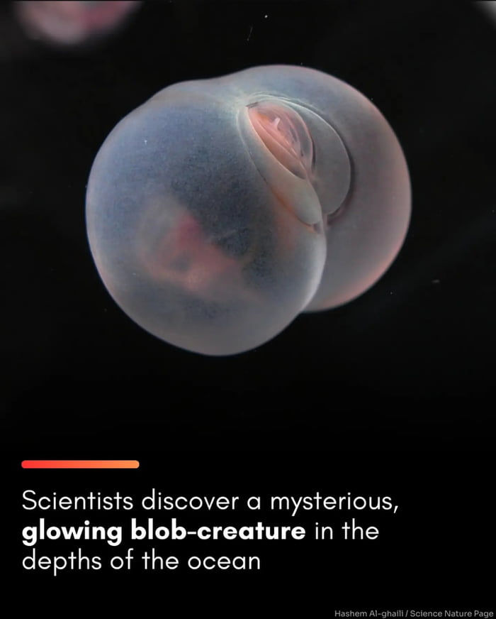 For biology! For SCIENCE! - 9GAG