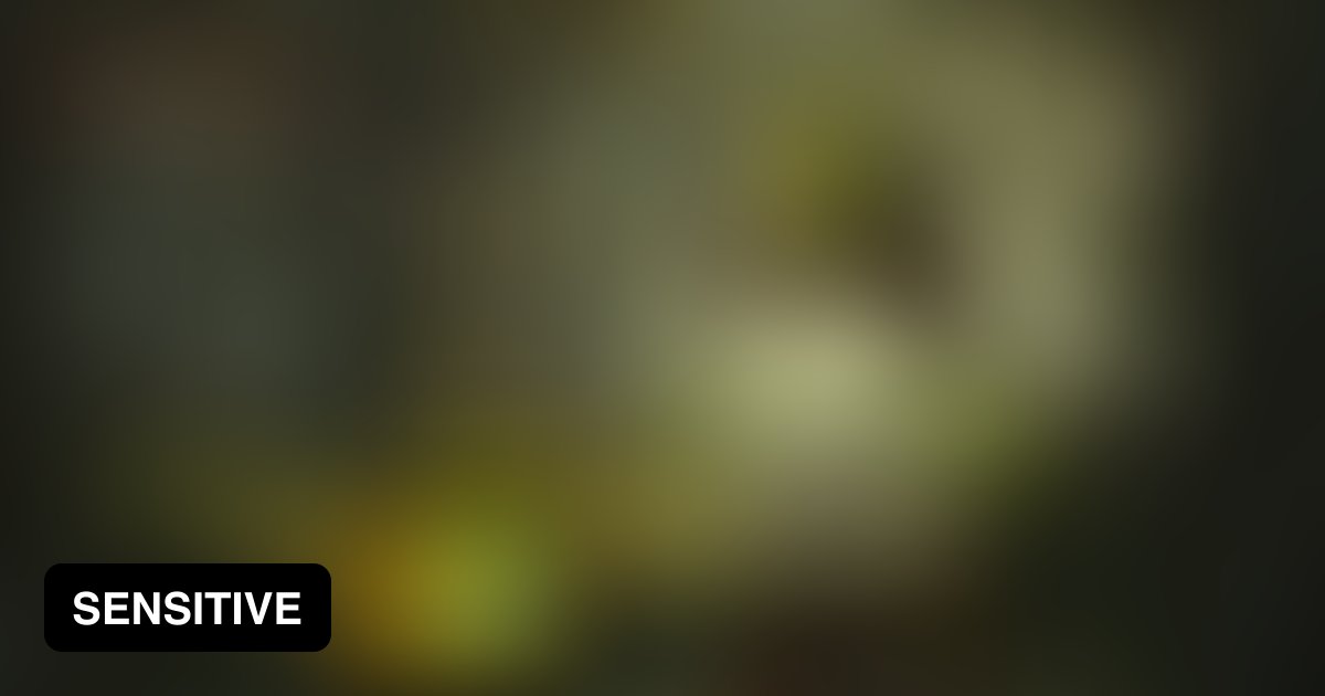 Shrek 5 Epic intro - 9GAG