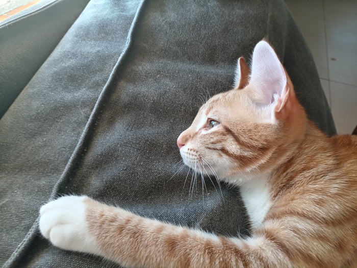 Dude contemplating life over here - 9GAG