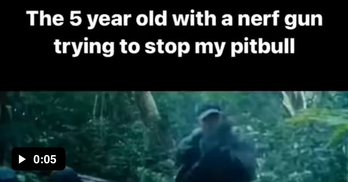 I like dogs but i love those pitbull memes - 9GAG