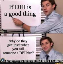 If DEI is supposed to be good - 9GAG