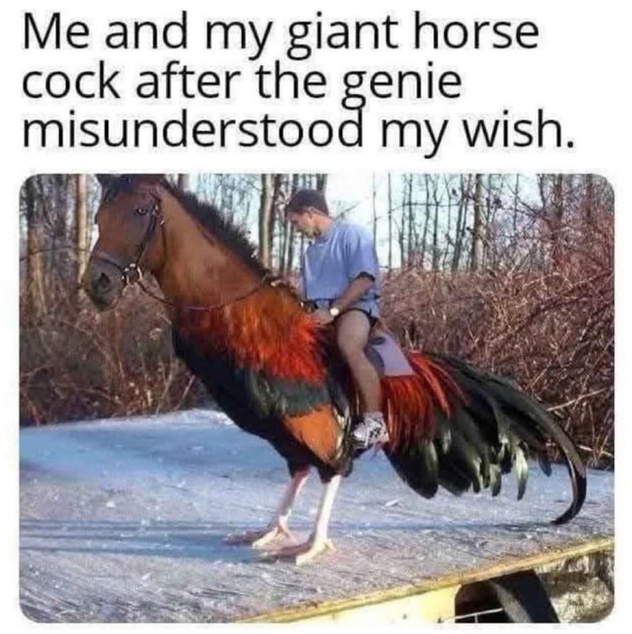 A wish from Wish - 9GAG