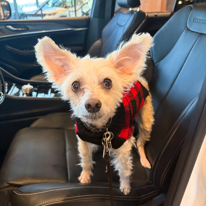 The bestest little guy. - 9GAG