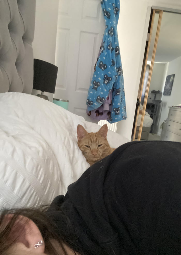 Woke up to being spooned by the new man of the house - 9GAG