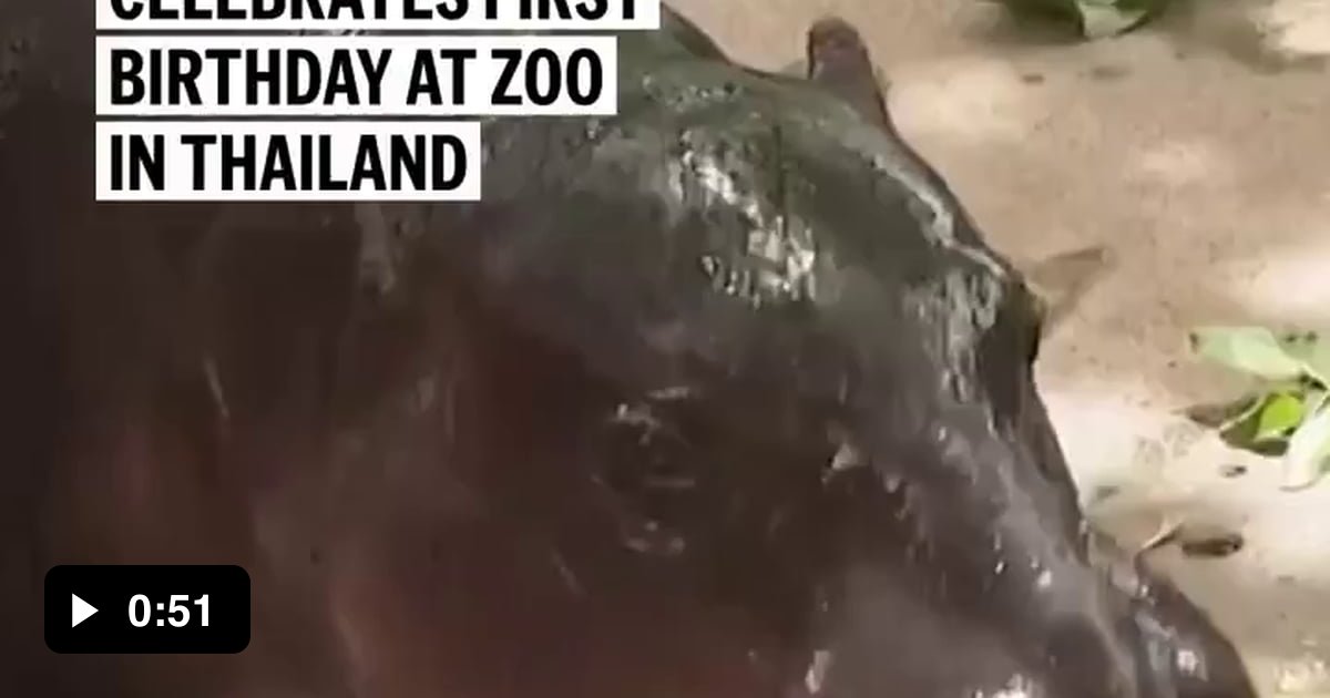 NGL, she had me at moist potato - 9GAG