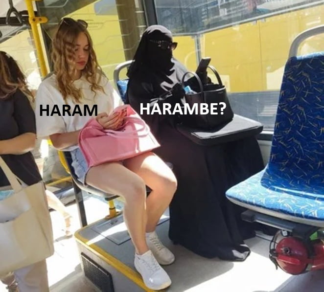 Forgive me, spirit of Harambe - 9GAG