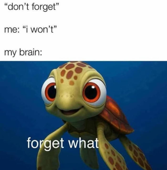 The eternal struggle of remembering what you were just told. Dory's ...