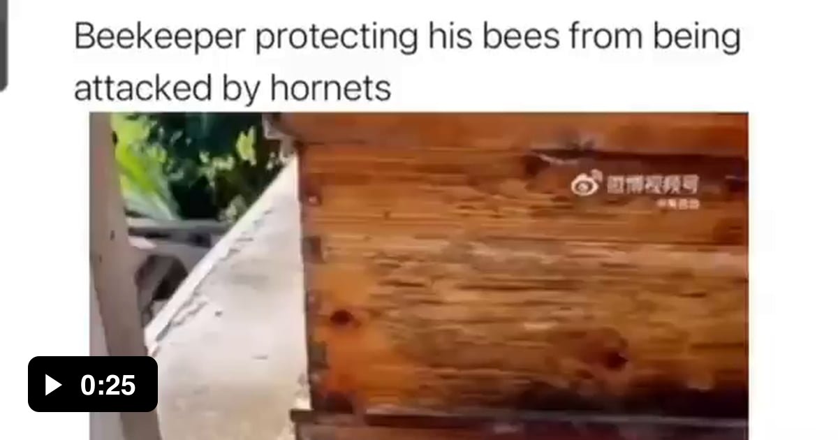 Kill them all - 9GAG