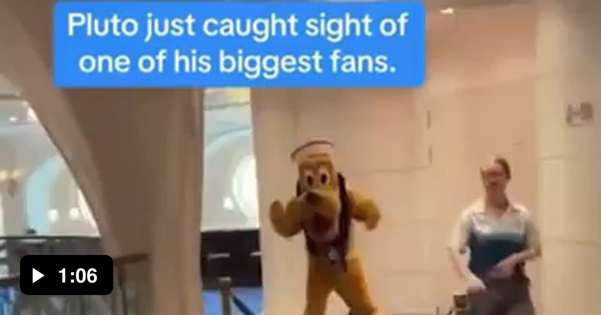 Golden retriever meets a life sized plush toy - 9GAG