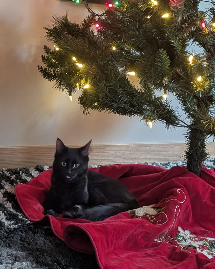 Christmas derp - 9GAG