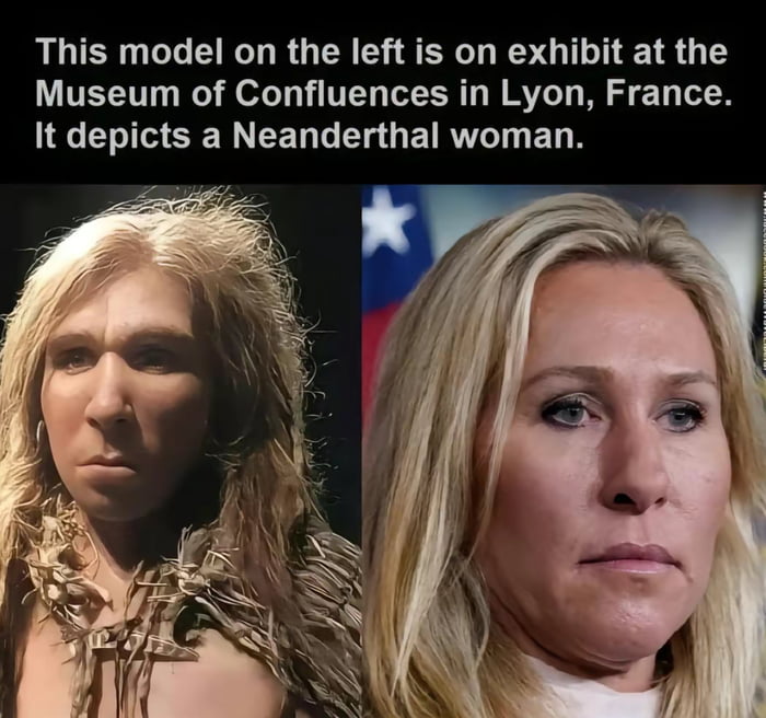 Devolution, de-evolution, or backward evolution (not to be confused ...