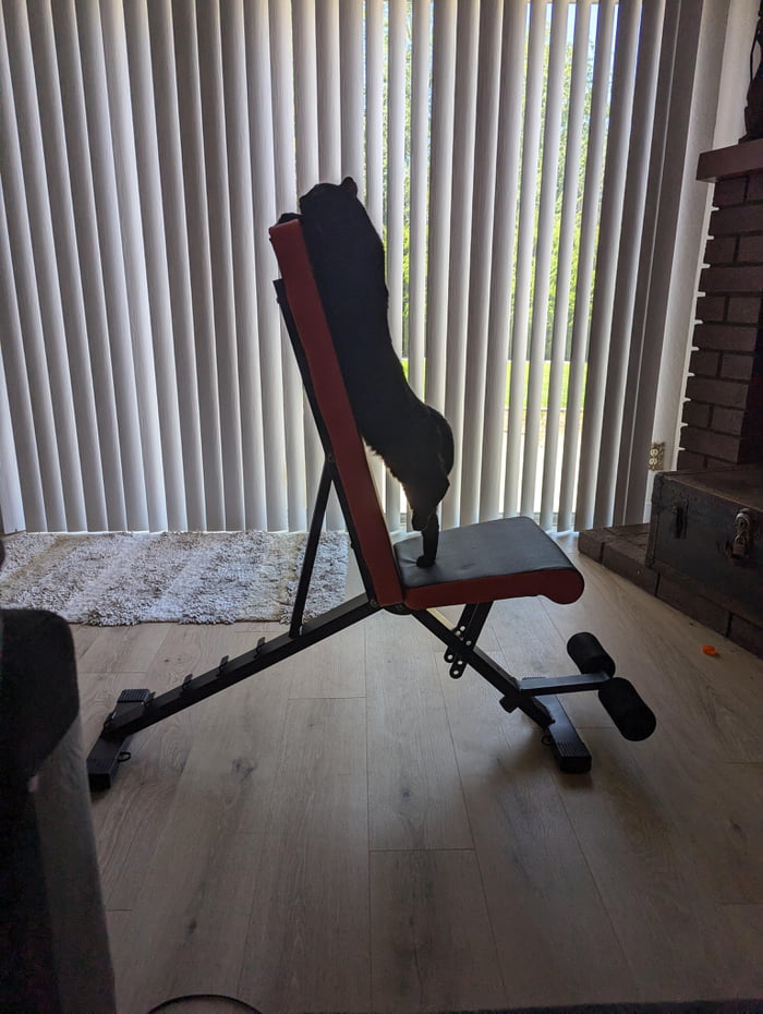 Personal trainer - 9GAG