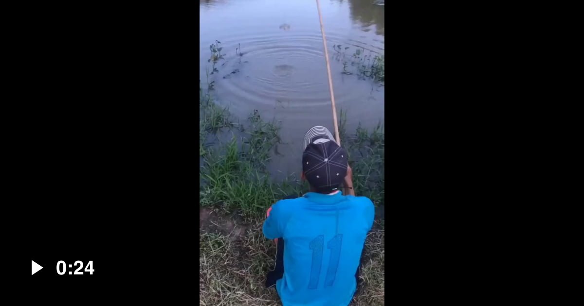 Now that's a fish! Arapaima fishing at its best! ~S~ - 9GAG