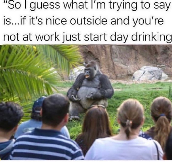 Wise words from the big guy - 9GAG