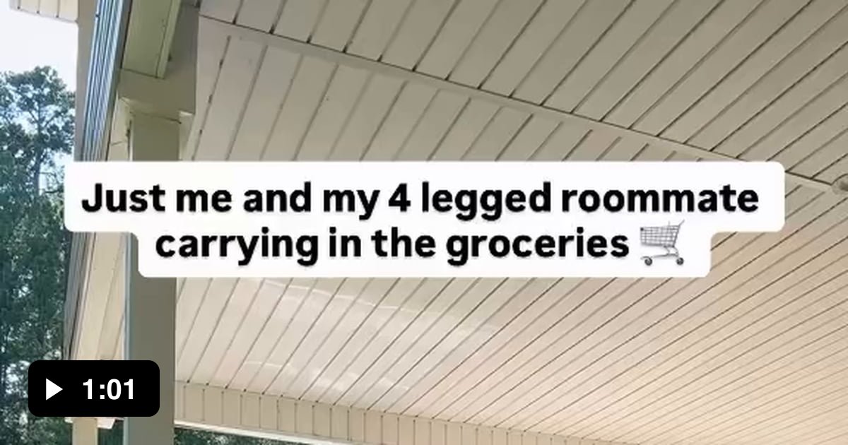 Love a helpful king - 9GAG