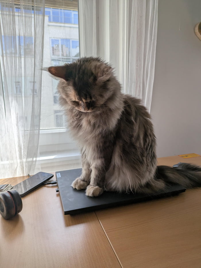 IT support in action - 9GAG