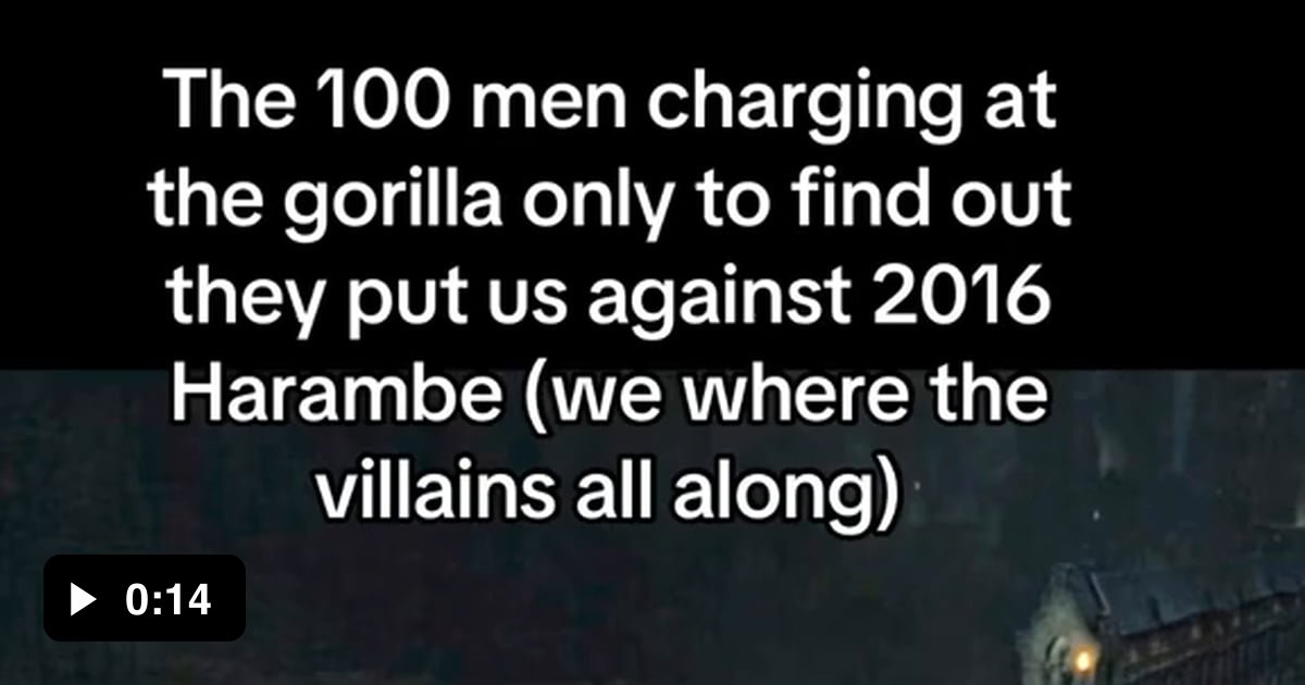 Maybe the real gorilla was the friends we made along the way - 9GAG