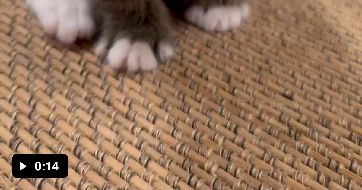 Playtime is hard 😴 - 9GAG