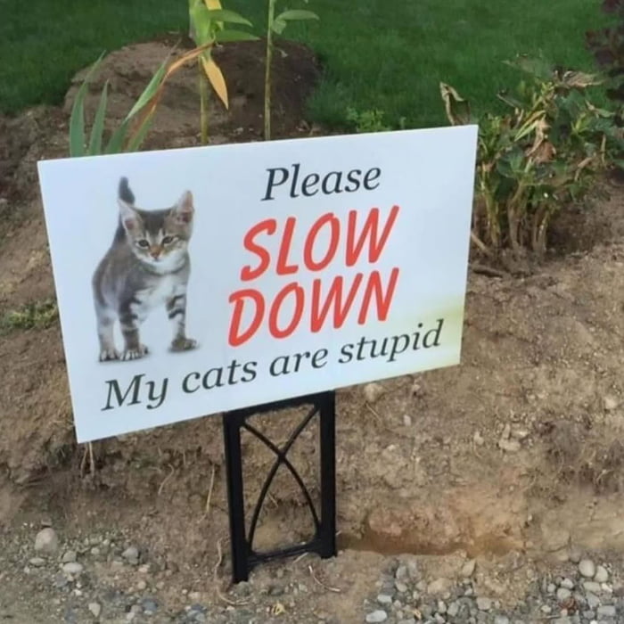 Yeah..mee too - 9GAG