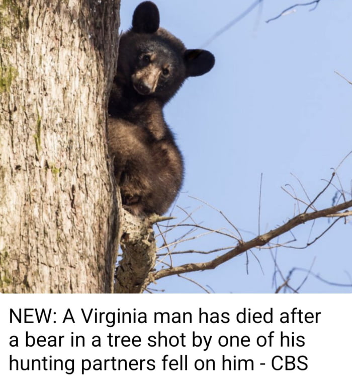 Natural selection? - 9GAG