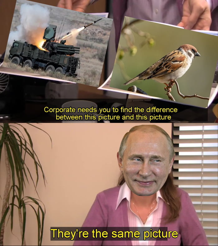 Russia trying to blame birds for their AA strike be like: - 9GAG