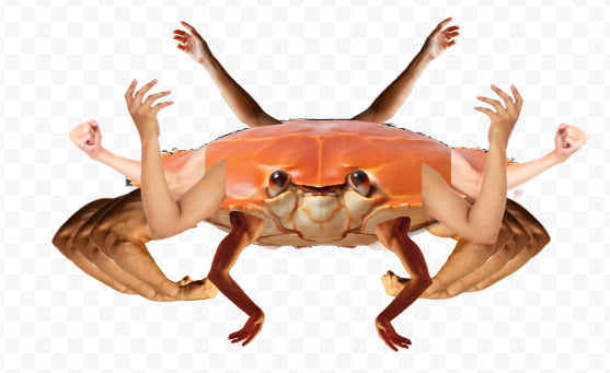 Sir Crab cake, true form - 9GAG