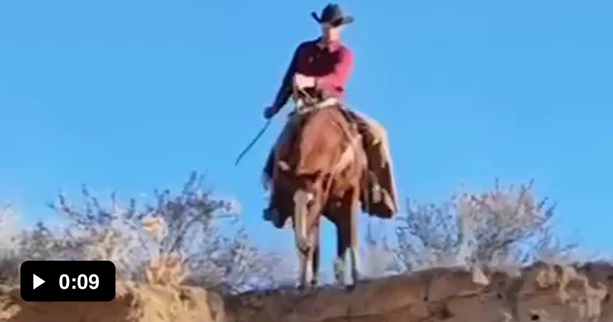 Cowboy & Horse, controlled falling. - 9GAG