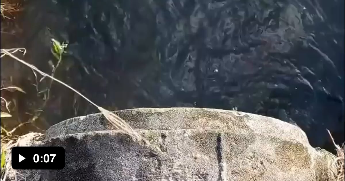 Gone with the flow - 9GAG