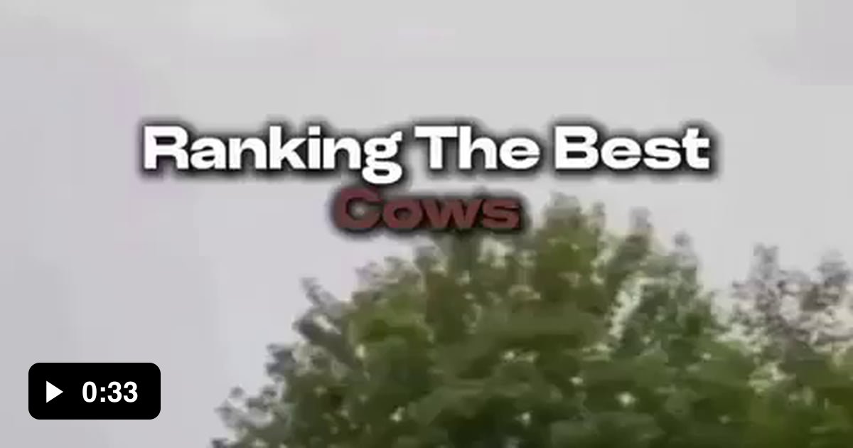 Never underestimate the comedic timing of a cow - 9GAG