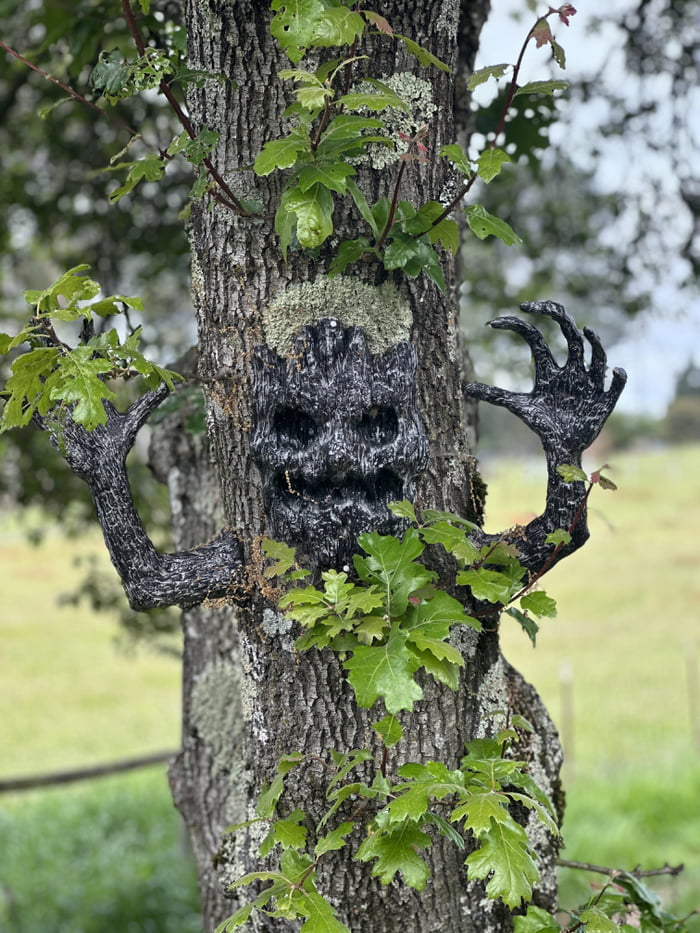This tree looks like it's ready for spooky season. - 9GAG
