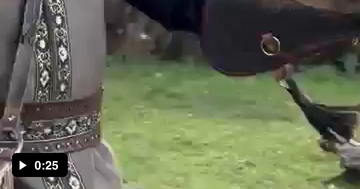 Wait, did it just swallow that whole bone? - 9GAG