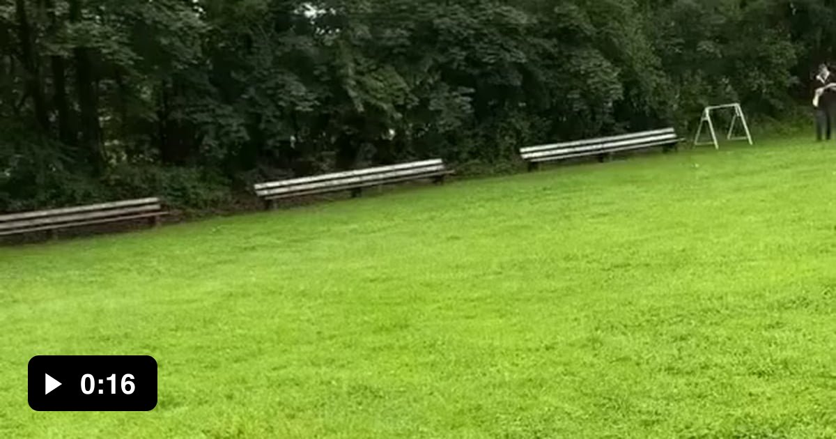 German boomerang 🪃 - 9GAG