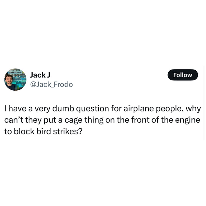 Questioning bird strike logic like an engineering genius - 9GAG