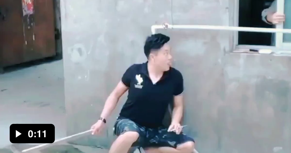 RIP for the bird - 9GAG