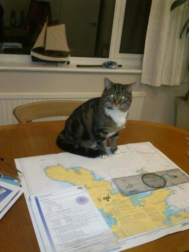 Cartographer (Catographer) - 9GAG