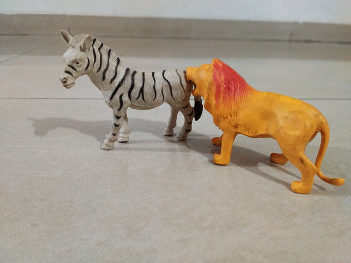 Excuse me! You're biting my butt! - 9GAG