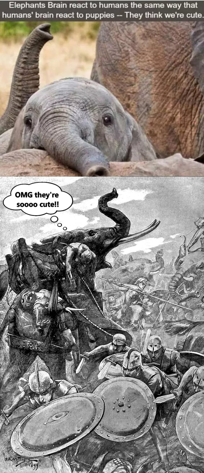 Humans are monsters - 9GAG