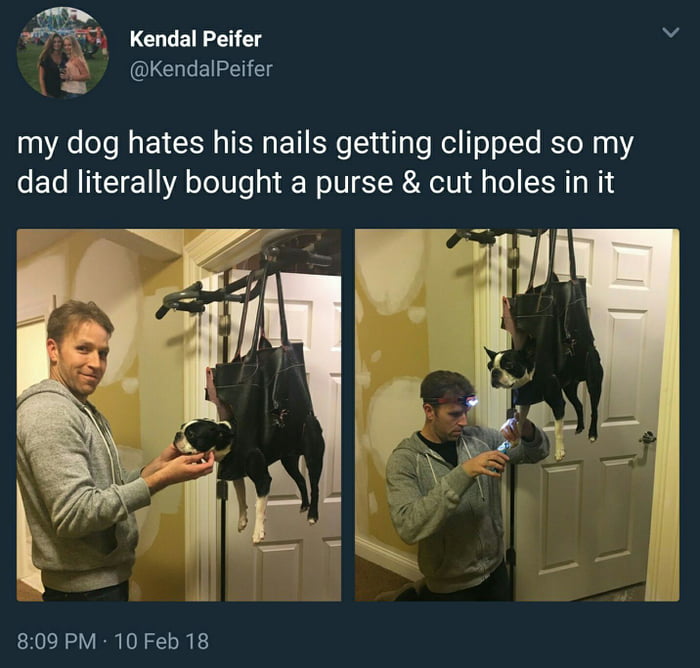 Absolute genius - 9GAG