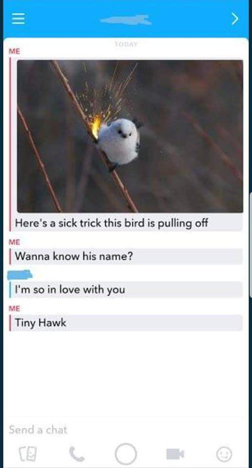Tiny Hawk in action - 9GAG