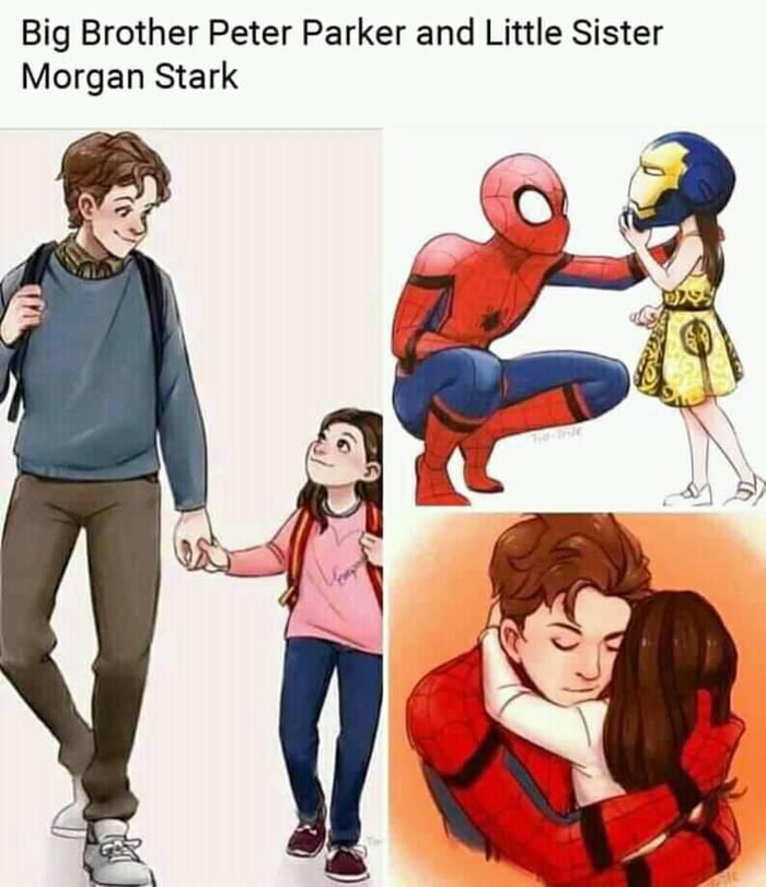 Peter Parker and Morgan Stark after Endgame .. - 9GAG