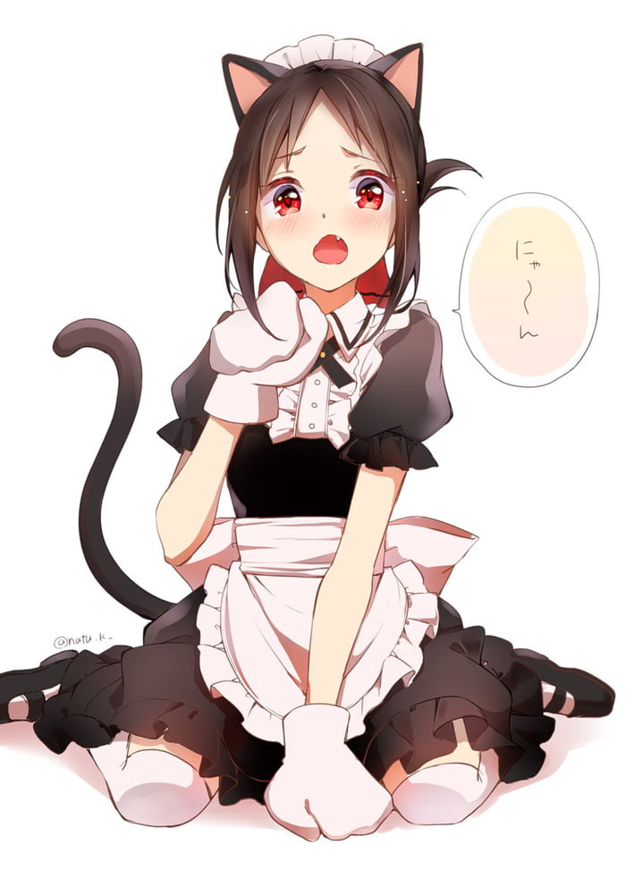 Neko maid - 9GAG