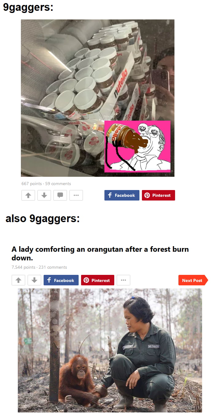 Palm oil is so tasty - 9GAG