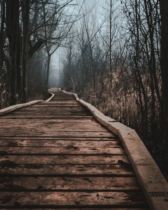 Lonely walking path - 9GAG