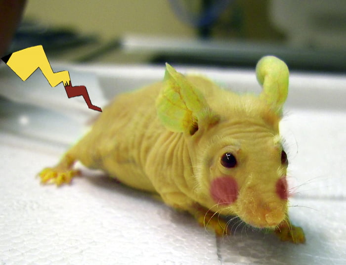 People be like " we wanted pikachu with no fur in the new Detective ...