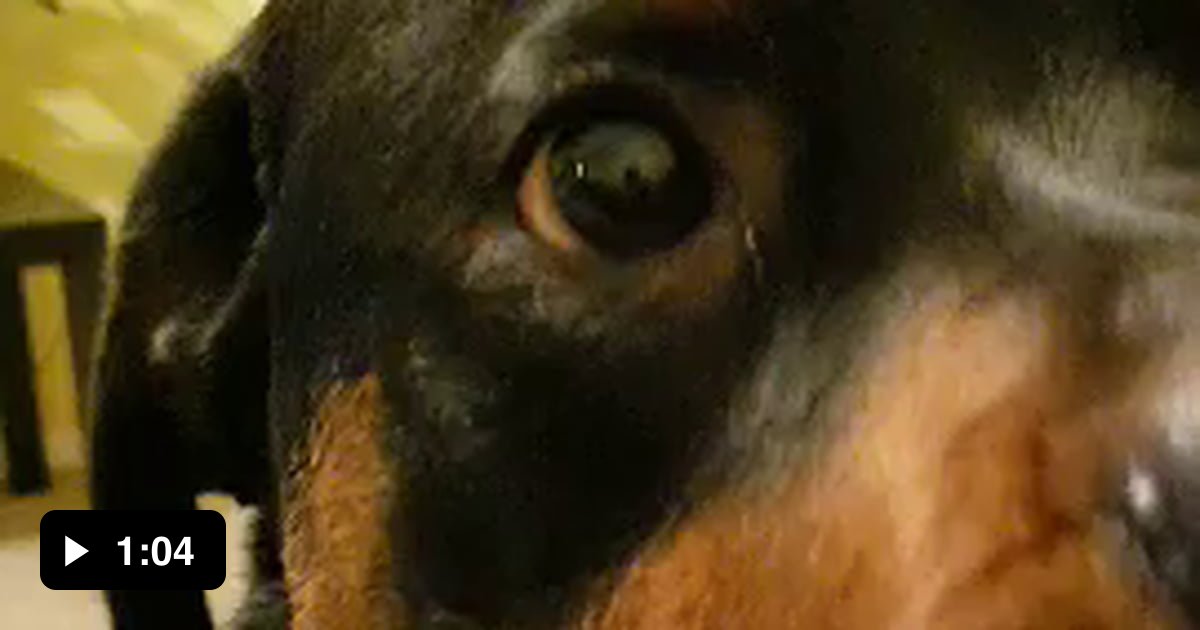 No take! Only throw! - 9GAG