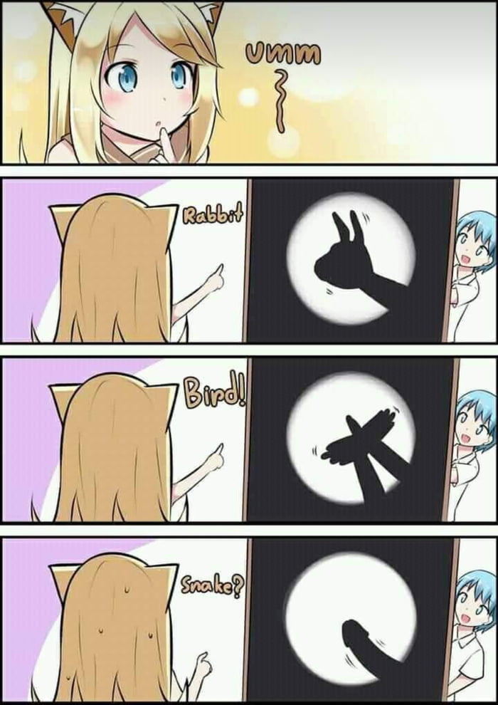 Random picture of the day. - 9GAG