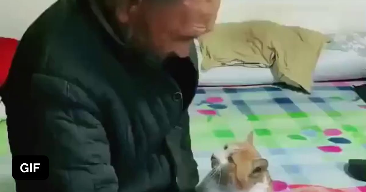 Old cat loves old man. - 9GAG