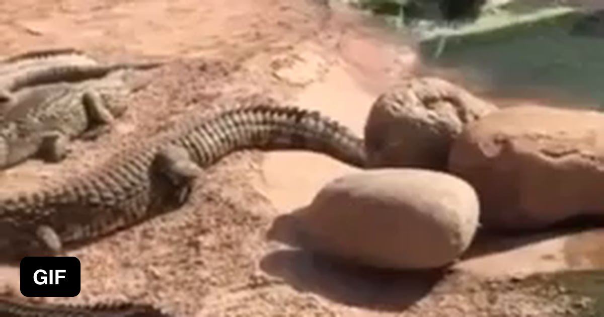 Dammit Steve! Stop blocking the slide - 9GAG