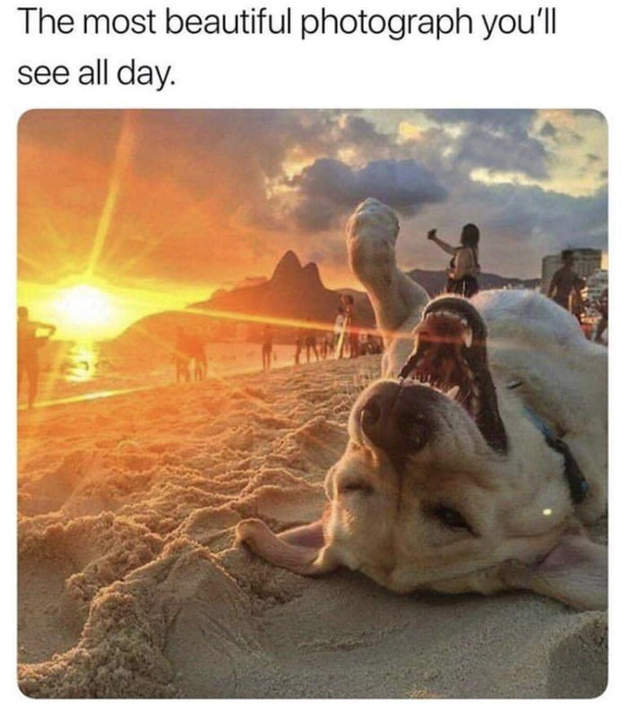 Beautiful day on the beach - 9GAG